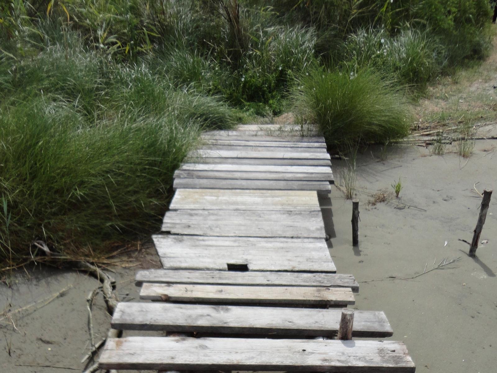 Scano Boa - Water Museums of Venice