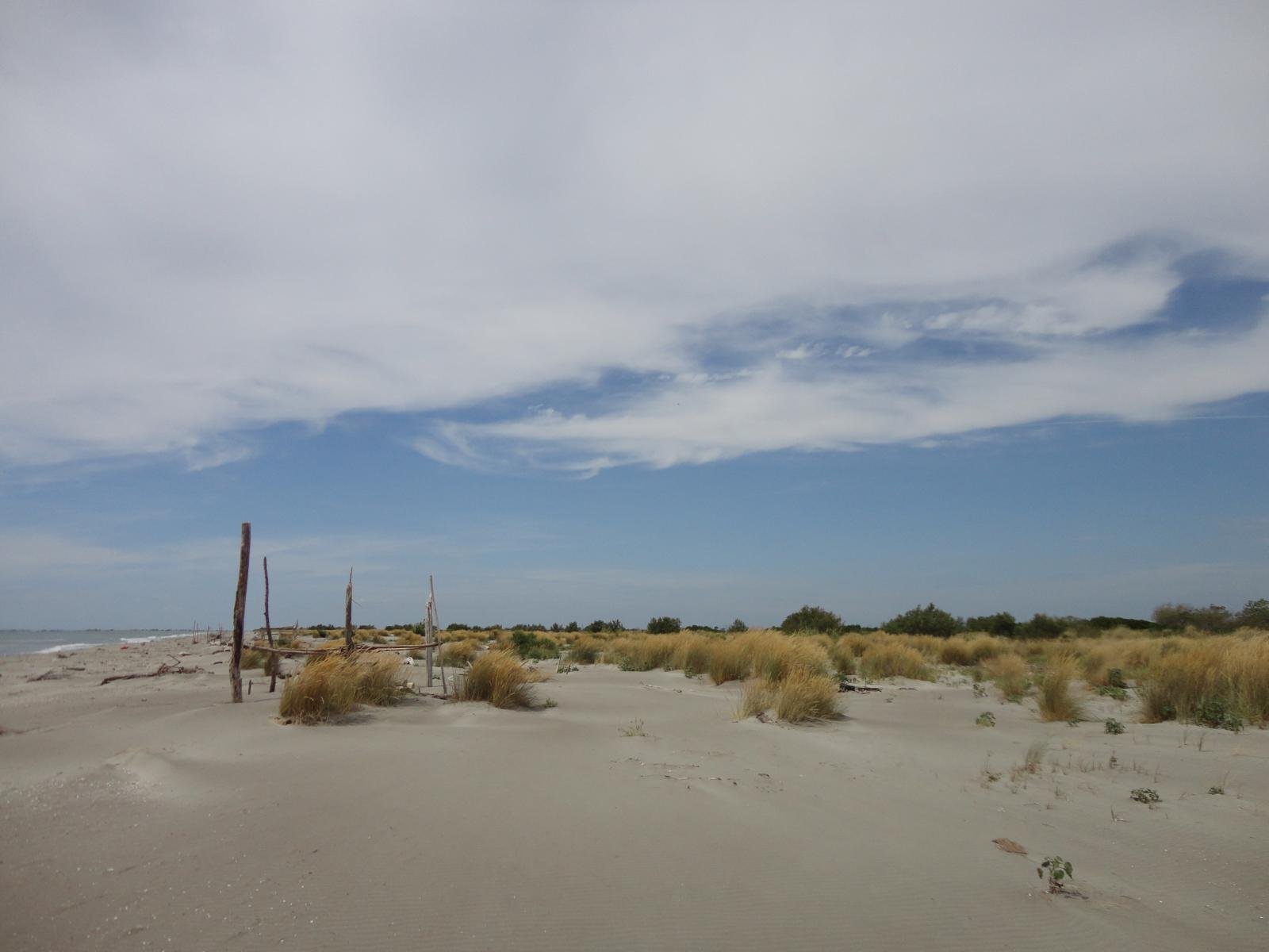 Scano Boa - Water Museums of Venice
