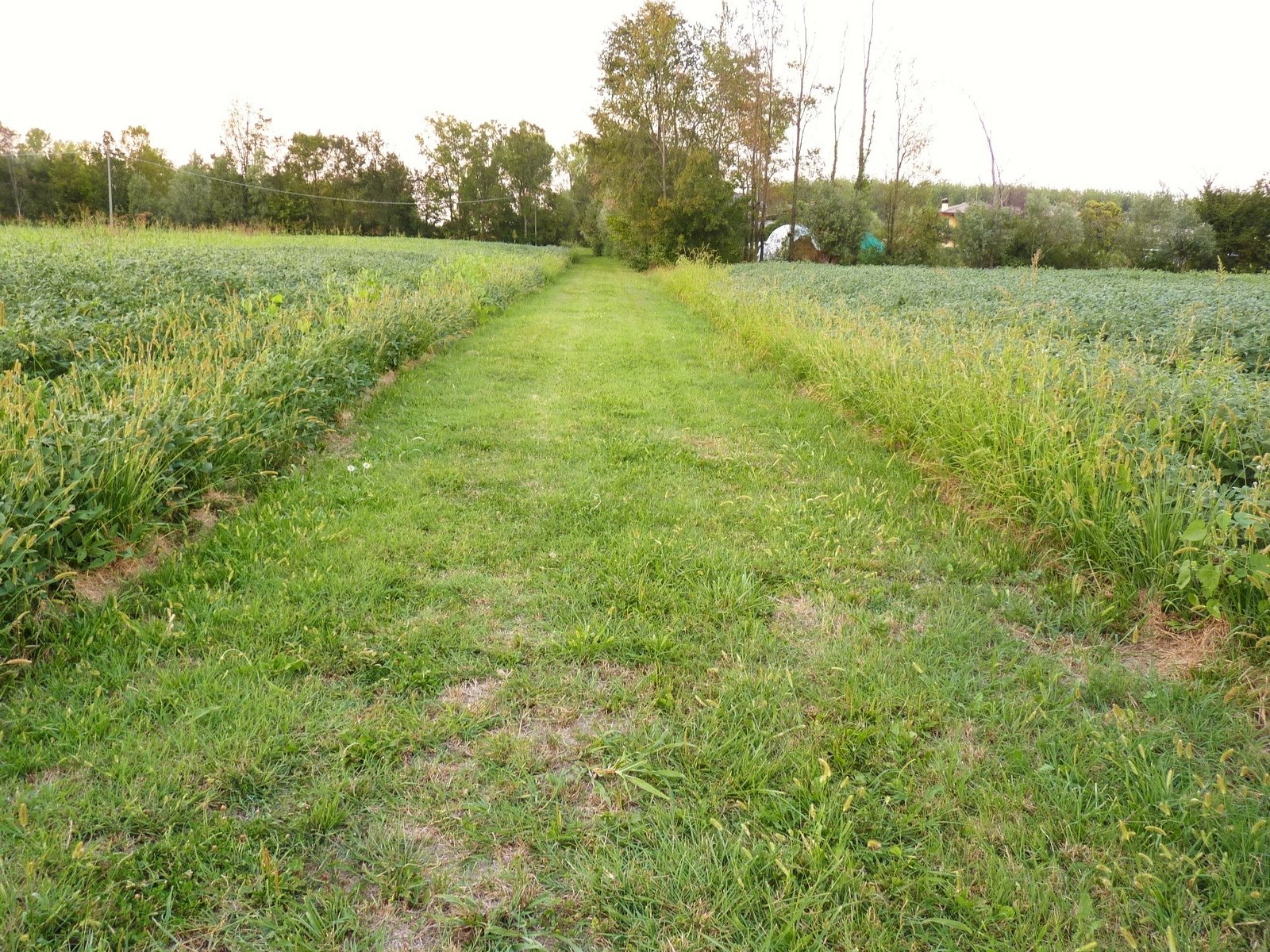 The Museum of Roman Centuriation - Water Museums of Venice